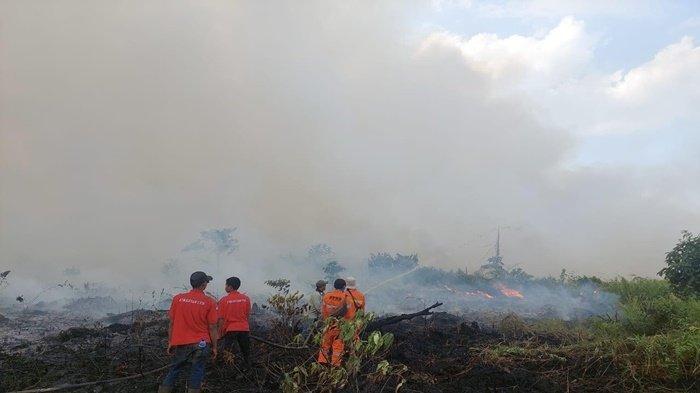 Forest and Land Fires Widen in Bayung Lencir