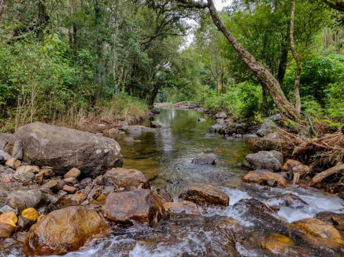 Wayanad Night Trek & Camping at Wayanad in Bangalore - HighApe