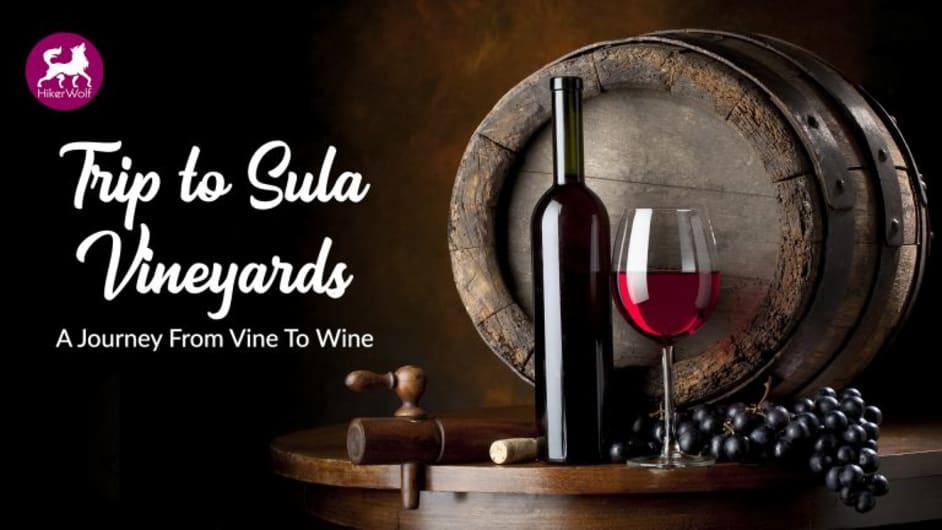 Trip To Sula Vineyards | HikerWolf at Soma Vine Village in Goa - HighApe
