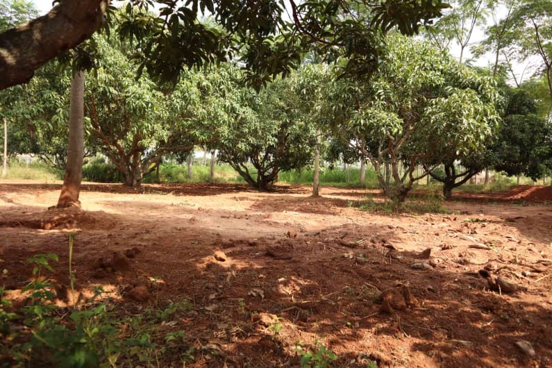 Toto 2020 at SRS Hills Ramnagar in Bangalore - HighApe