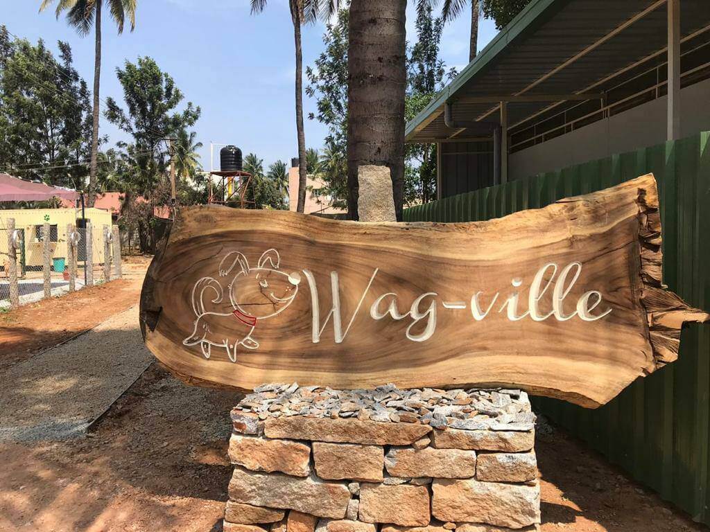 The Wag - Ville Santapaws Dog Carnival at Wag-Ville Dog Boarding ...