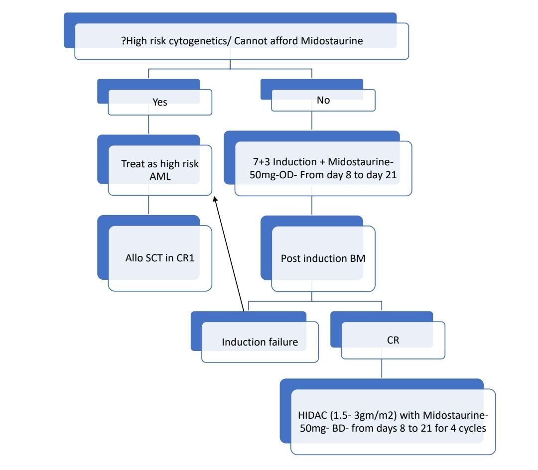 Acute Myeloid Leukemia - howitreat.in
