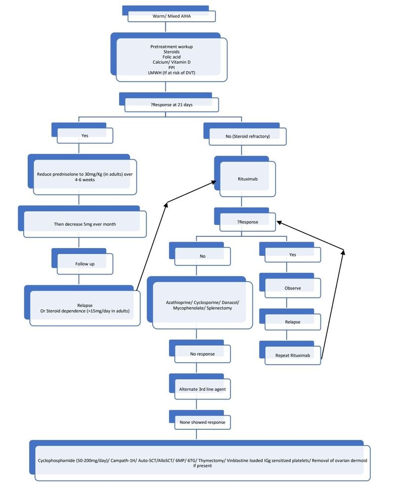 Auto-immune Hemolytic Anemia - howitreat.in