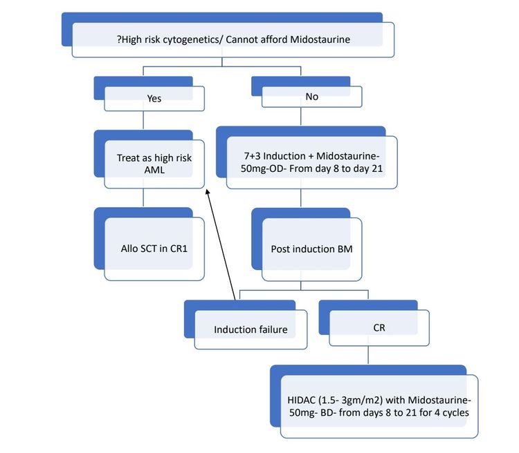 Acute Myeloid Leukemia - howitreat.in