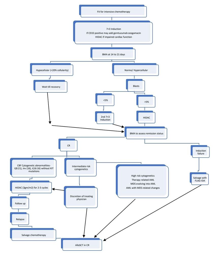 Acute Myeloid Leukemia - howitreat.in