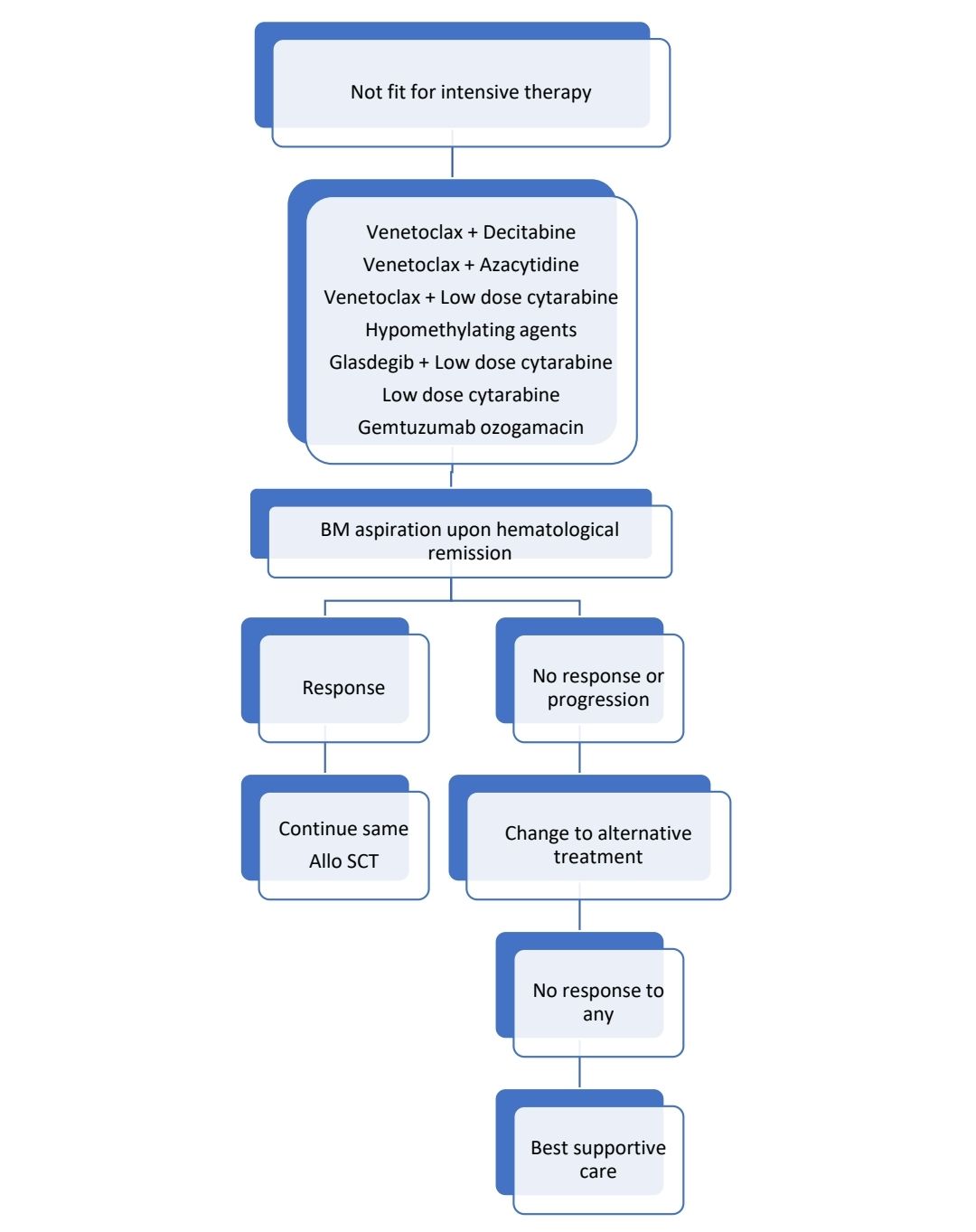 Acute Myeloid Leukemia - howitreat.in