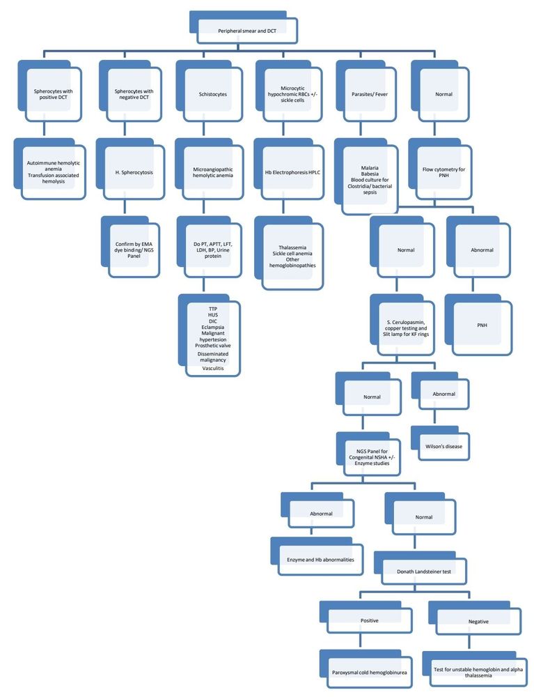 Anemia - howitreat.in