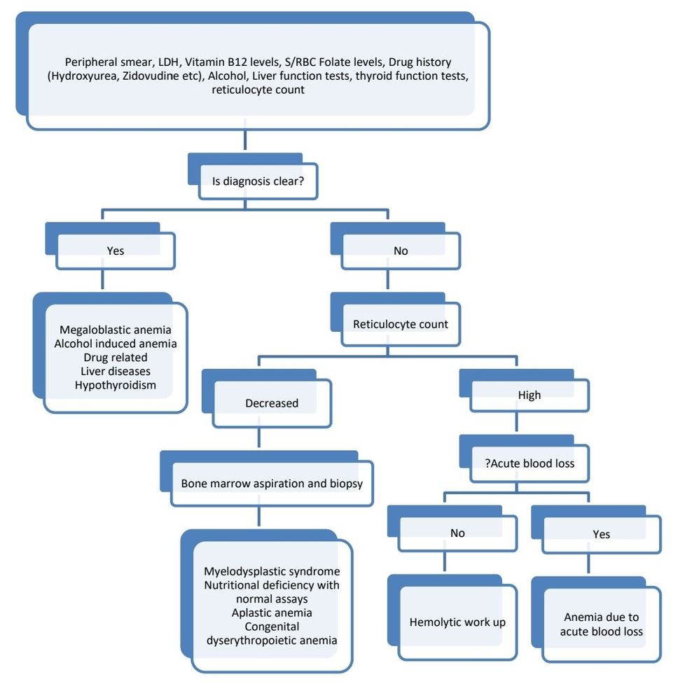 Anemia Howitreat in Anemia Howitreat in