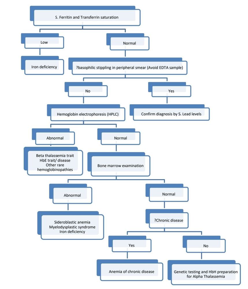 Anemia - howitreat.in