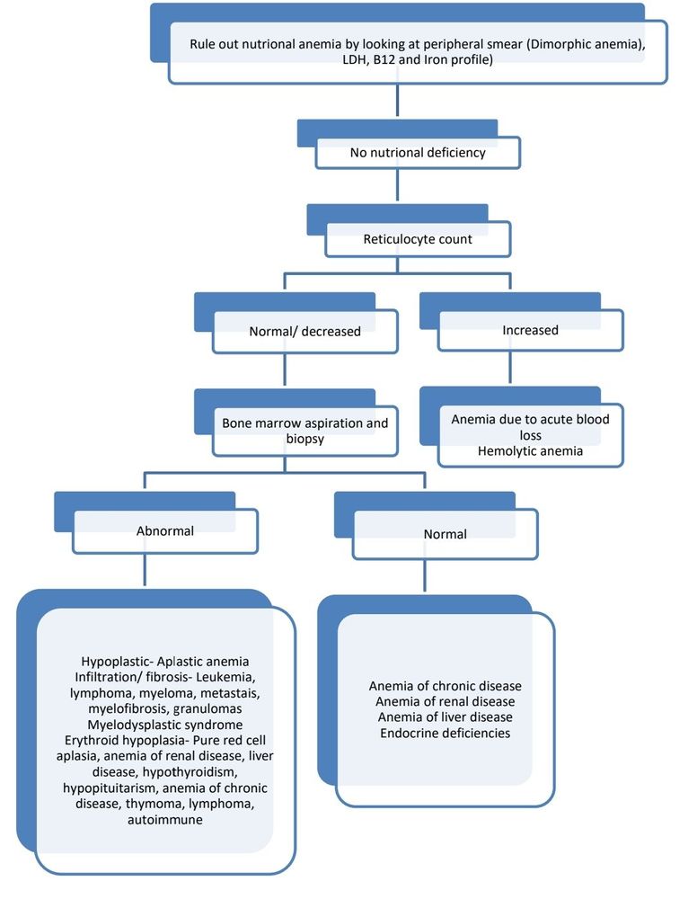Anemia - howitreat.in