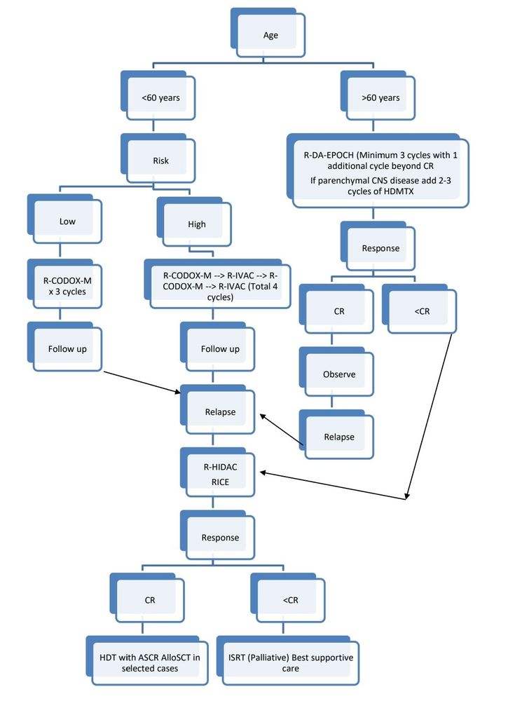 Burkitt Leukemia/ Lymphoma - howitreat.in