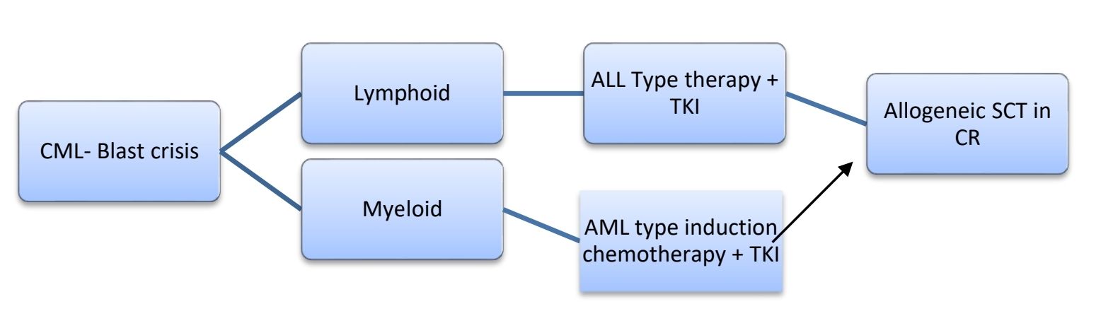 Chronic Myeloid Leukemia - howitreat.in