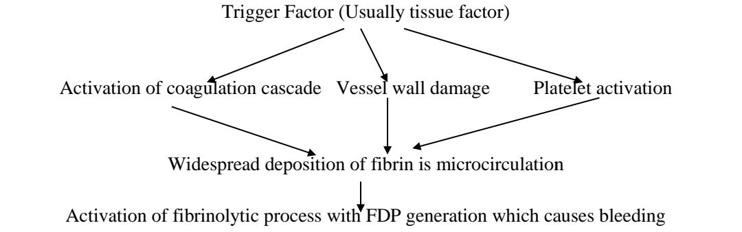 Disseminated Intravascular Coagulation - howitreat.in