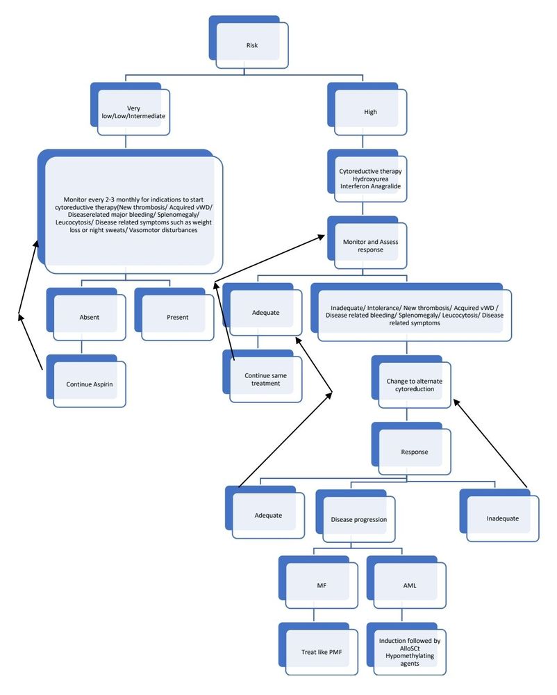 Essential Thrombocythemia - howitreat.in