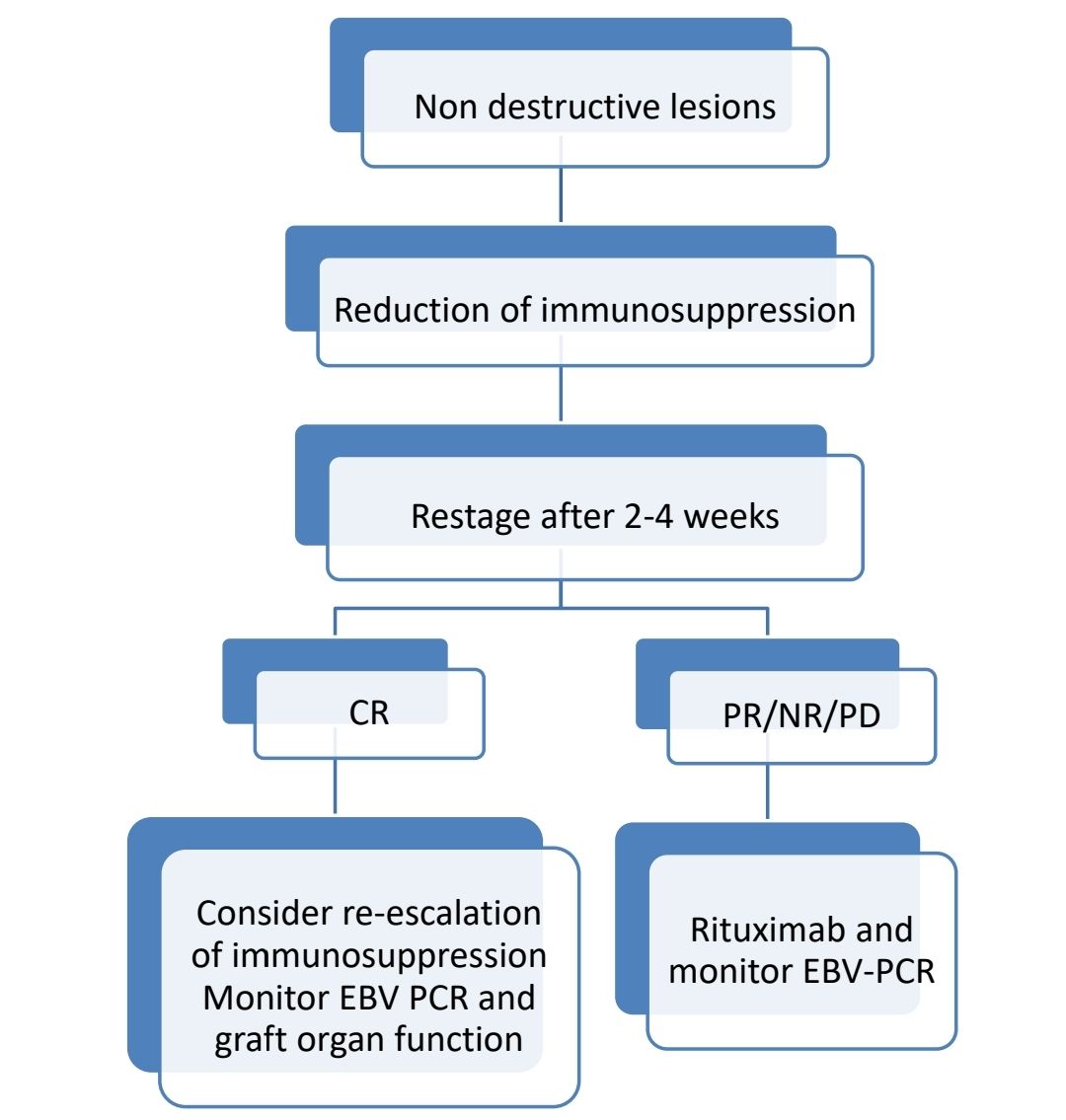 Immunodeficiency Associated Lymphoproliferative Disorders - howitreat.in