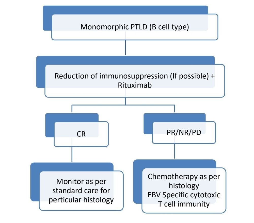 Immunodeficiency Associated Lymphoproliferative Disorders - howitreat.in