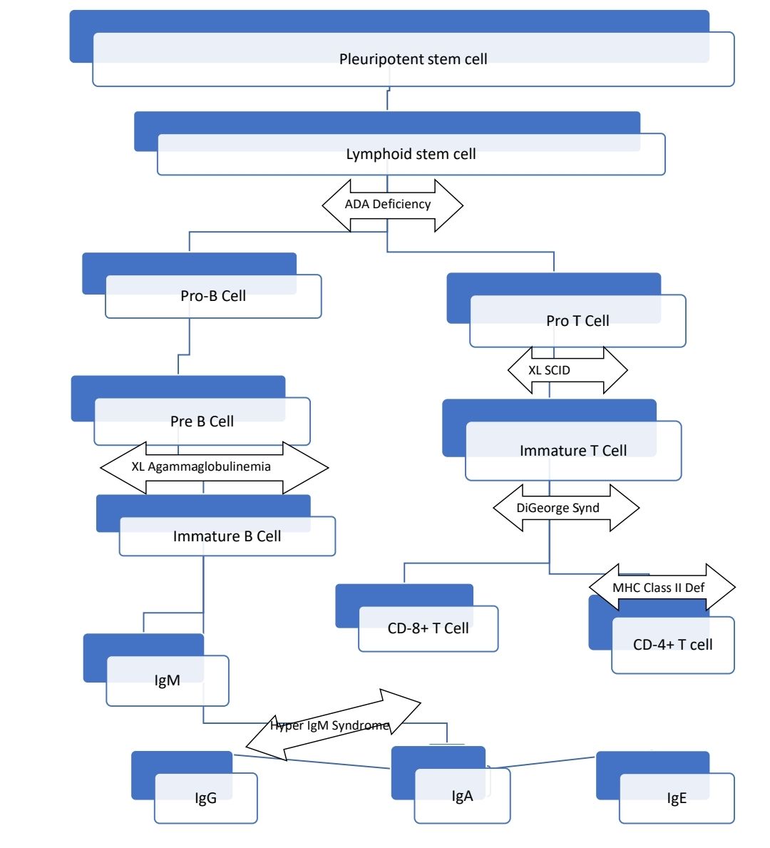 Primary Immunodeficiency Disorders - howitreat.in