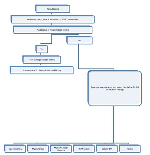 Pancytopenia - howitreat.in
