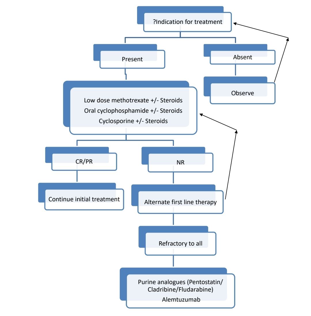 T Cell Large Granular Lymphocytic Leukemia - howitreat.in