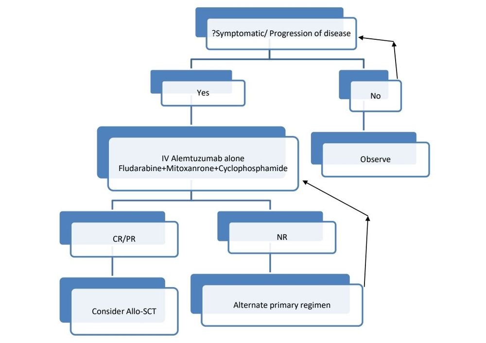 T Cell Prolymphocytic Leukemia - howitreat.in