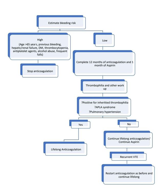 Venous Thrombo-Embolism - howitreat.in