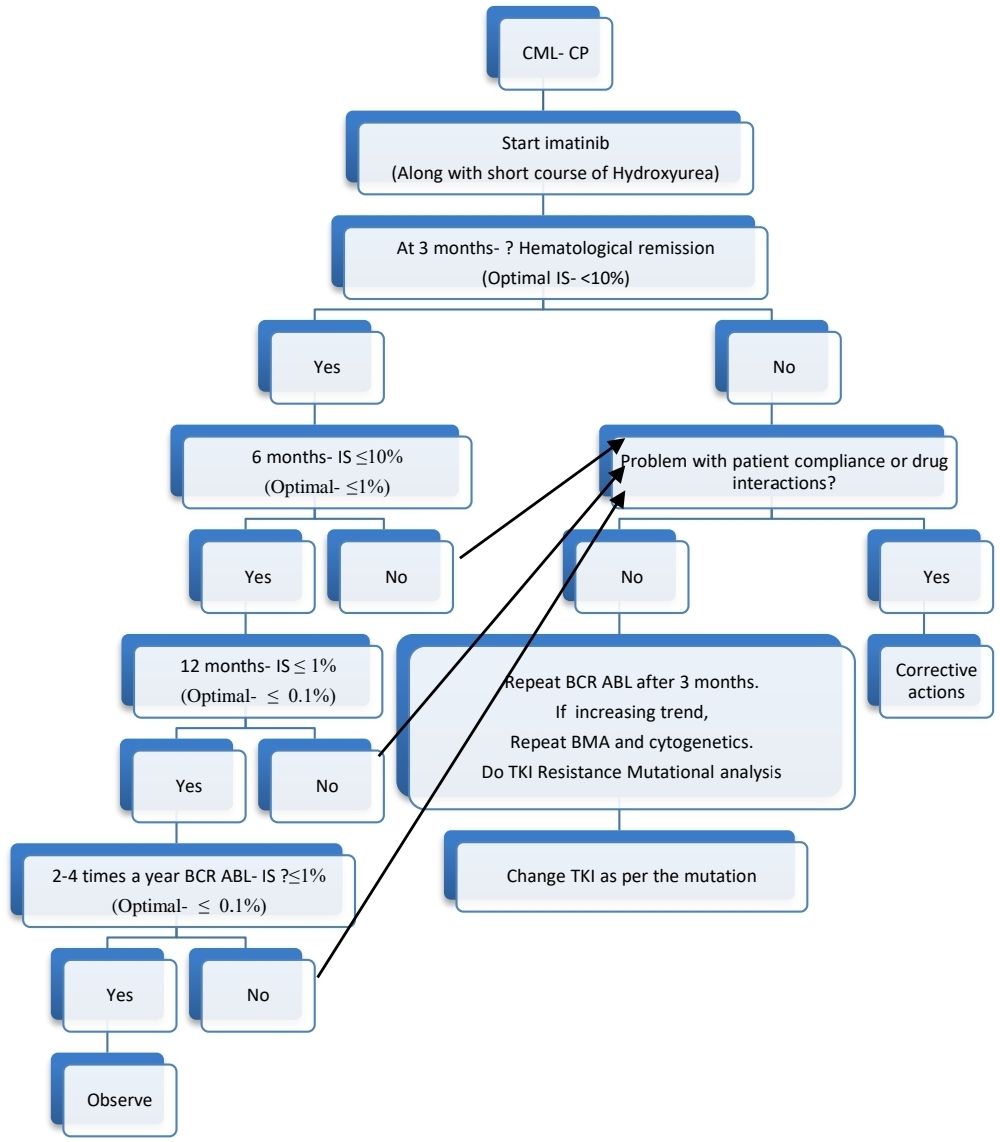 Chronic Myeloid Leukemia - howitreat.in