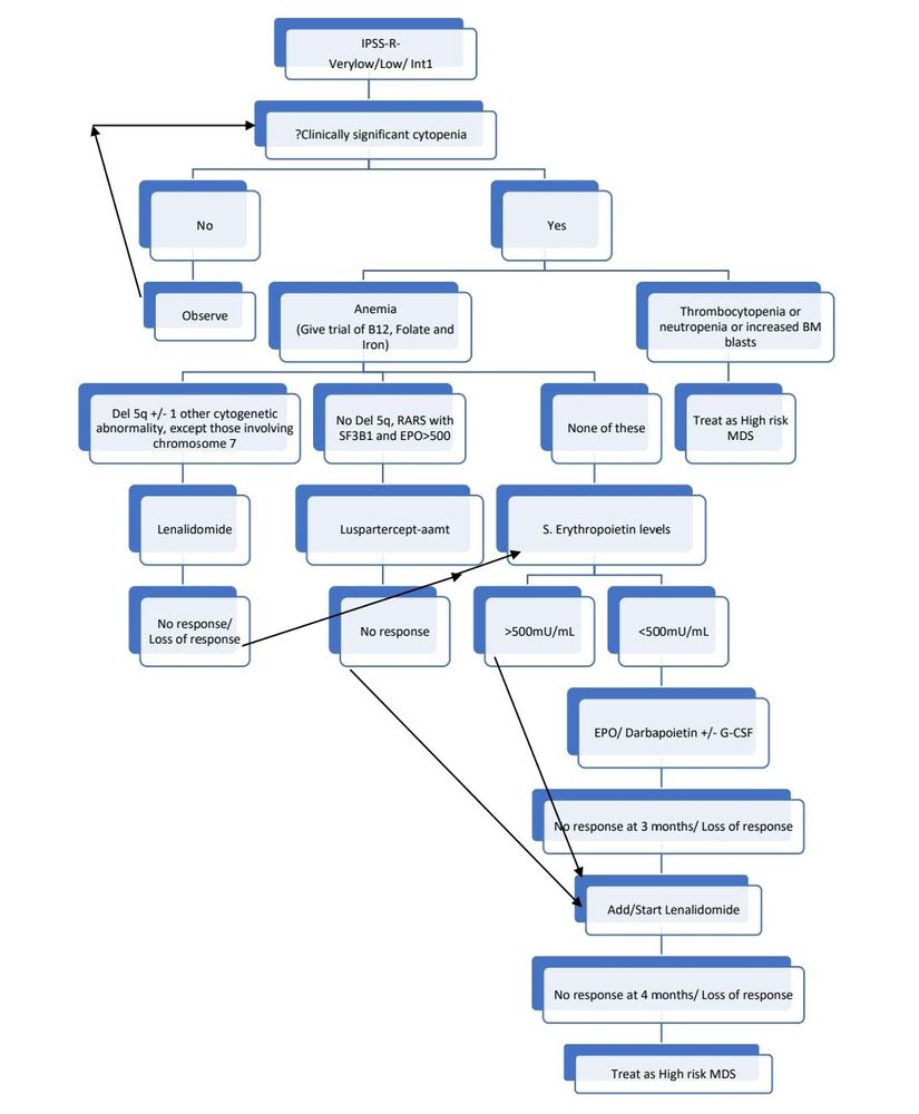 Myelodysplastic Neoplasms (MDS) - howitreat.in