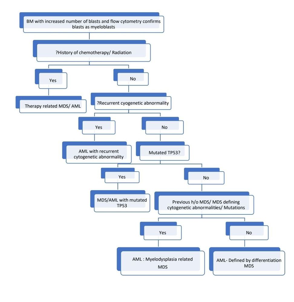 Acute Myeloid Leukemia - howitreat.in