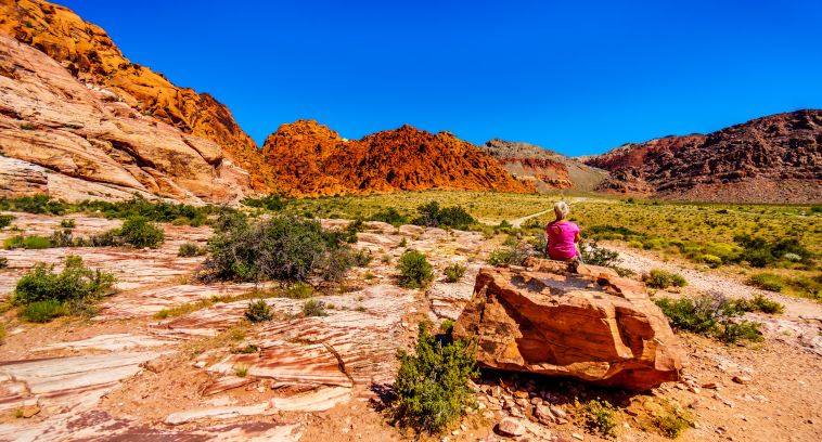 Red Rock Canyon Tours & Tickets - Las Vegas 2024 | isango.com