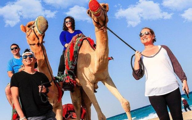 Guided South Coast Tour With Camel Ride - Book Doha tours - Best Offers ...