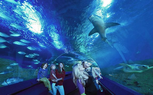 The Aquarium of Western Australia Entry Ticket - Book Perth tours ...