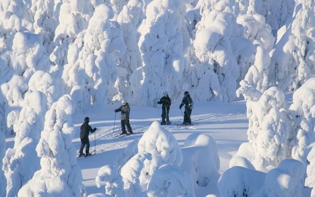 Lapland Cross-country Ski Trip In Rovaniemi – isango!