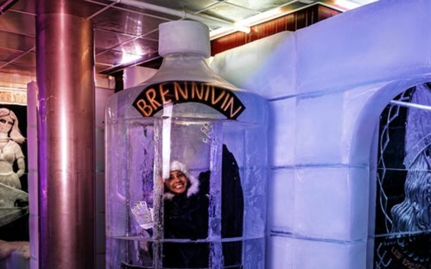 Magic Ice Bar Reykjavik