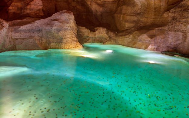 Trevi Underground Experience