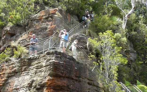 Boomerang Pass - Blue Mountains 1-Hour Sightseeing Tour