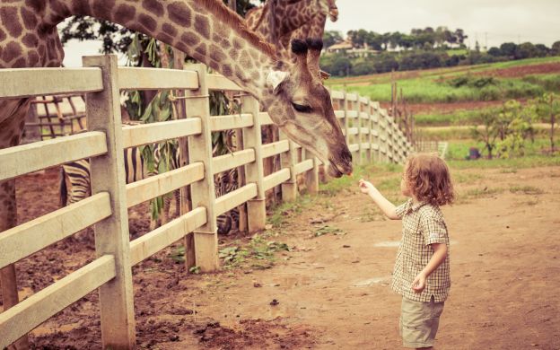Admission to Paphos Zoo