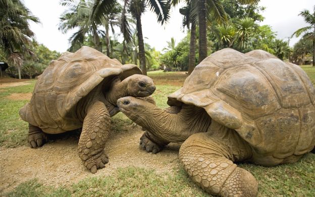 Admission to Paphos Zoo