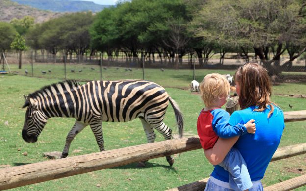 Admission to Paphos Zoo