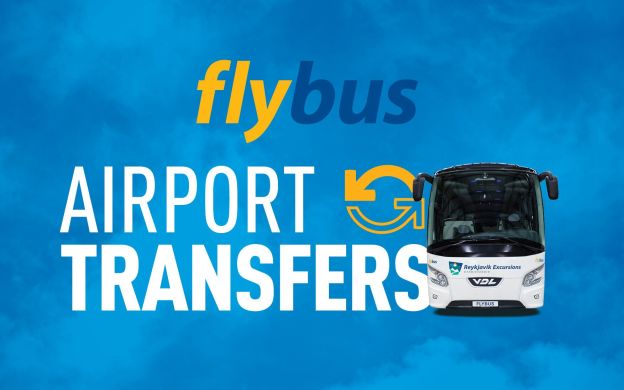 Keflavik Airport to BSI Bus Terminal: One-Way Flybus Shuttle Transfer ...