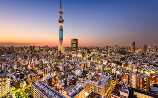 Skybus Tokyo: Hop-On, Hop-Off Bus Tour