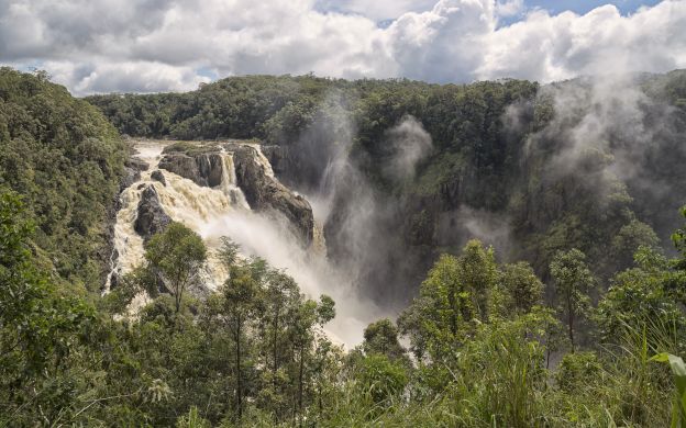 The Kuranda Experience