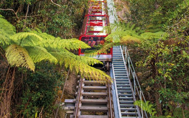 Blue Mountains: Scenic World Unlimited Discovery Pass