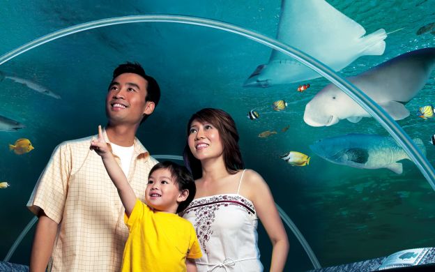 Sentosa Afternoon till Sunset Tour with guide