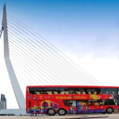 Rotterdam Bus Tours | Hop On Hop Off Bus Tours
