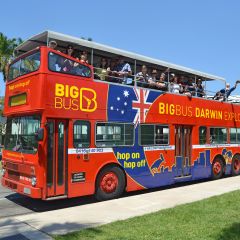 Hop On Hop Off Darwin - Best Deals | Hop On Hop Off Bus Tours