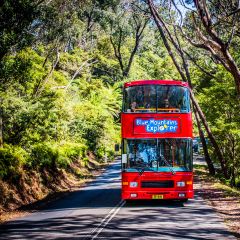 Hop On Hop Off Sydney - Best Deals | Hop On Hop Off Bus Tours