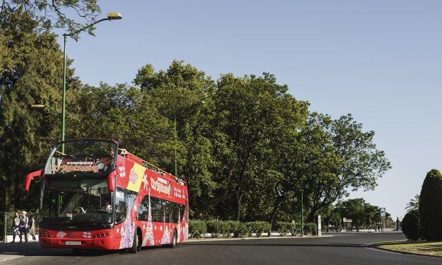 Toledo Bus Tours - Your Ticket to Experience the Best Sights of the ...