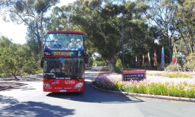 Hop On Hop Off Perth - Best Deals 2023 | Hop On Hop Off Bus Tours
