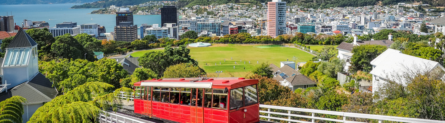 Wellington Tours & Things to do in Wellington