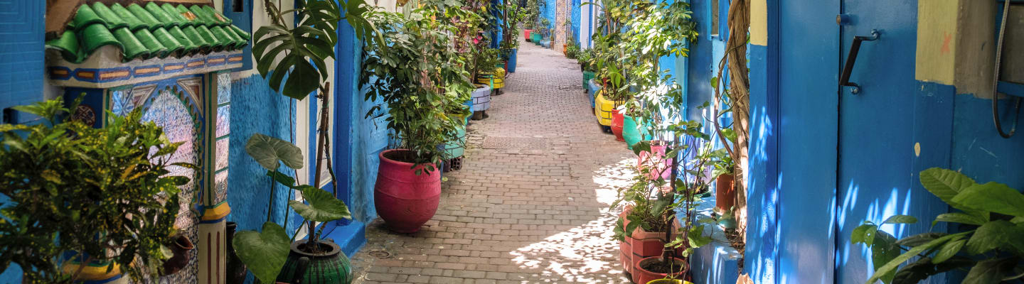 Tangier Tours & Things to do in Tangier